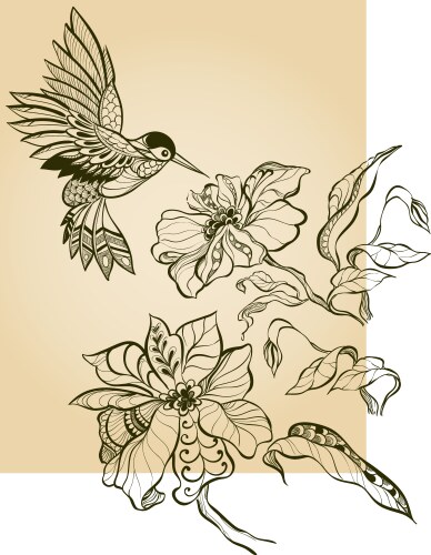 Hummingbird Outline Vector Images (over 2,900)