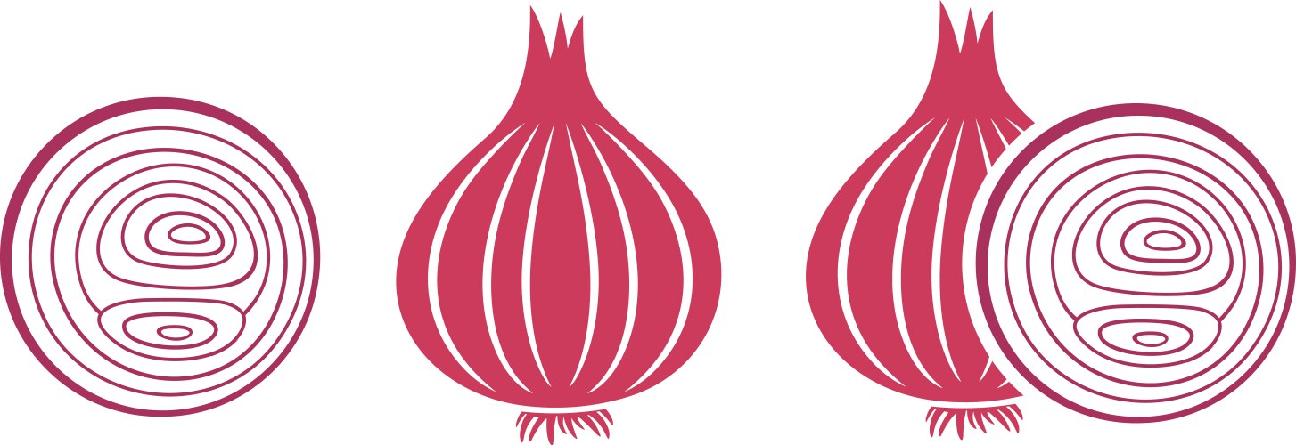 Onion Royalty Free Vector Image - VectorStock