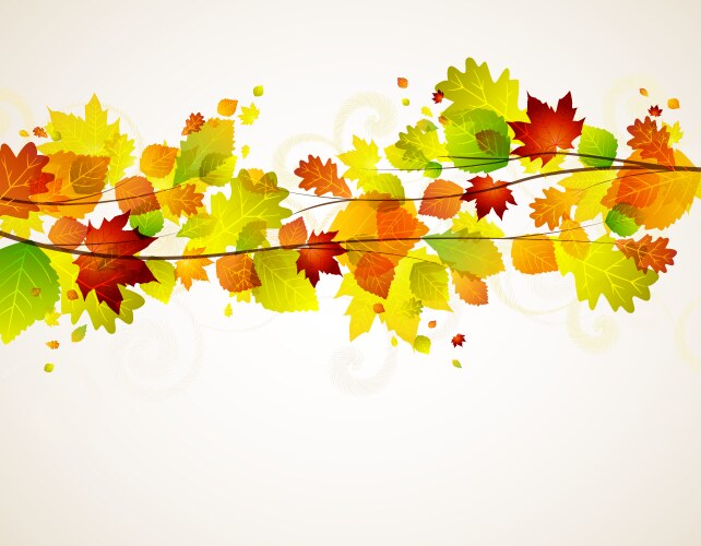 Autumn Decor Vector Images (over 280,000)