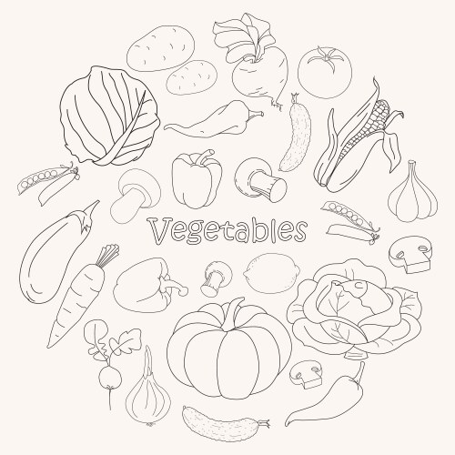 Outline hand drawn vegetable pattern flat style Vector Image