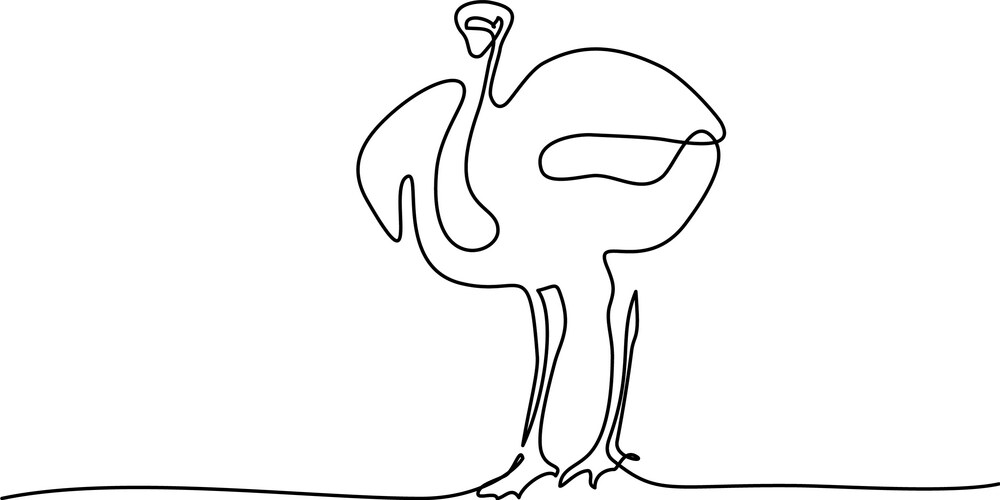 Ostrich outline Royalty Free Vector Image - VectorStock