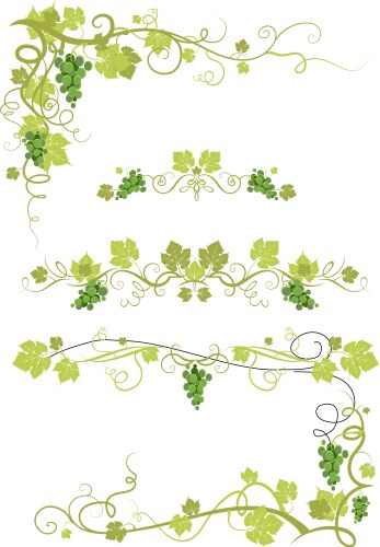 Vineyard Vector Images (over 27,000)