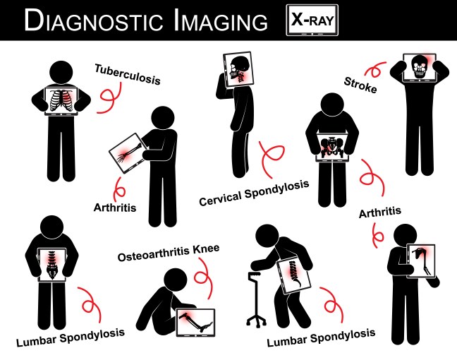Diagnostic Vector Images (over 81,000)