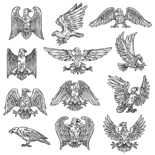 Eagle Royality Vector Images (over 3,400)
