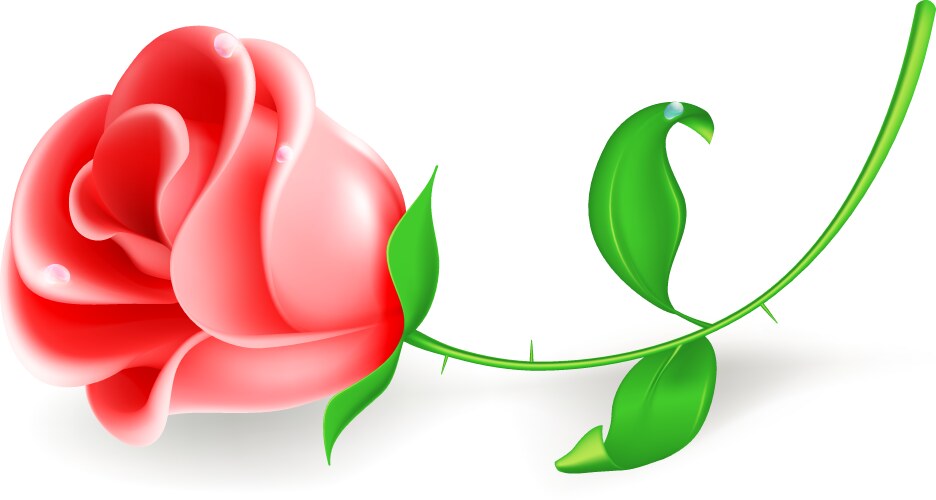 Rose Vector Images (over 290,000)