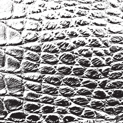 Snake skin scales texture seamless pattern black Vector Image