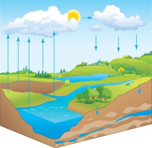 Water Cycle Vector Images (over 10,000)
