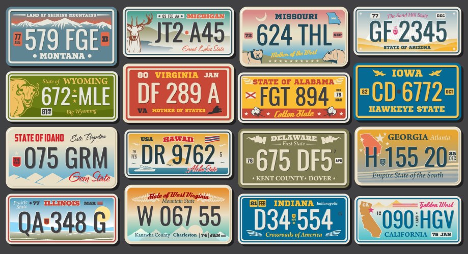 Usa american states vehicle registration plates Vector Image