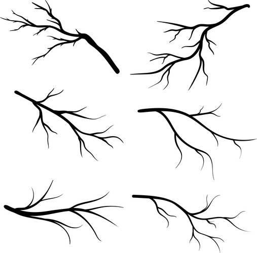 Tree Branch Cartoon Vector Images (over 52,000)