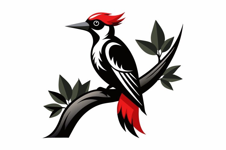 Woodpecker Vector Images (over 2,400)