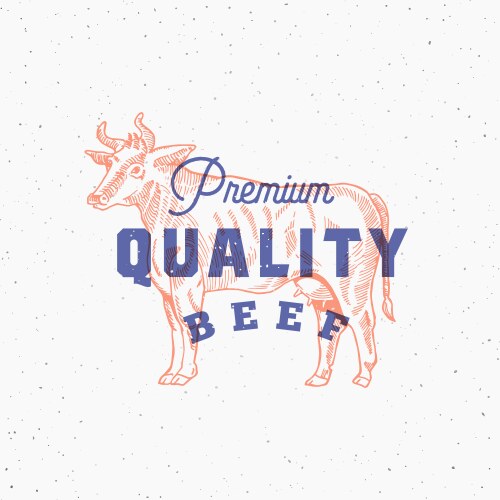 Premium quality beef meat packaging design layout Vector Image