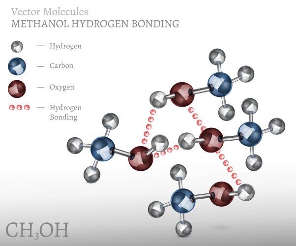 Structural chemical formula and model of methanol Vector Image