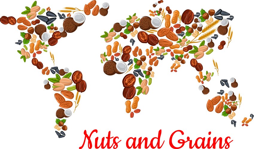 Nuts word Royalty Free Vector Image - VectorStock