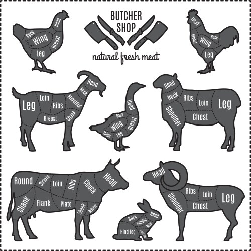 Butcher Diagram Vector Images (over 1,700)