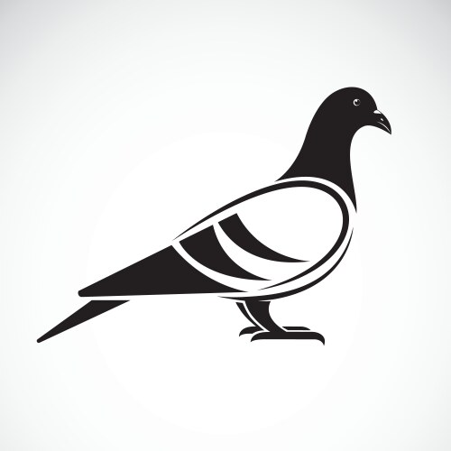 Outline Pigeon Vector Images (over 9,100)