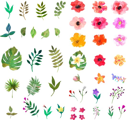 Colorful floral collection with leaves and flowers