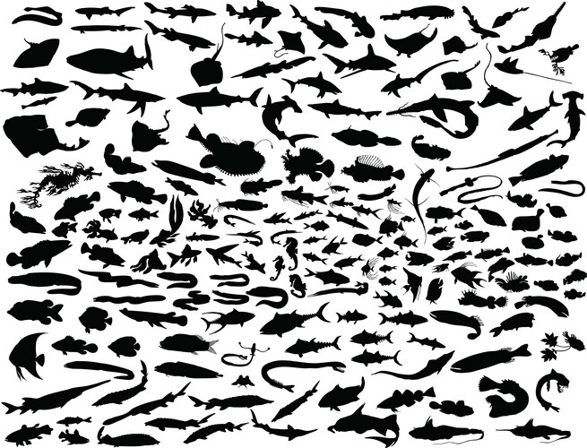 Fish Vector Images (over 530,000)