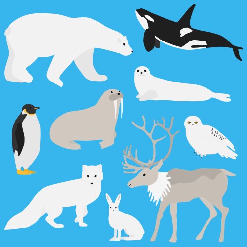 Arctic animals cute animal set of Royalty Free Vector Image