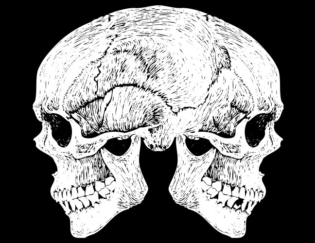 Two Faced Vector Images (over 17,000)