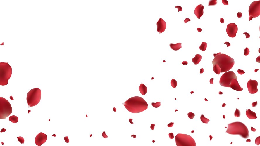 Falling rose petals red Royalty Free Vector Image