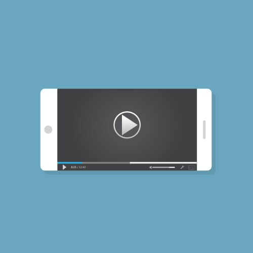 Video camera overlay Royalty Free Vector Image