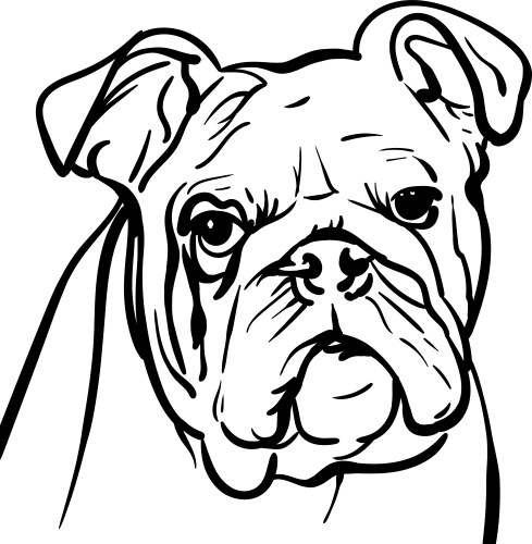 Bulldog Outline Vector Images (over 5,600)
