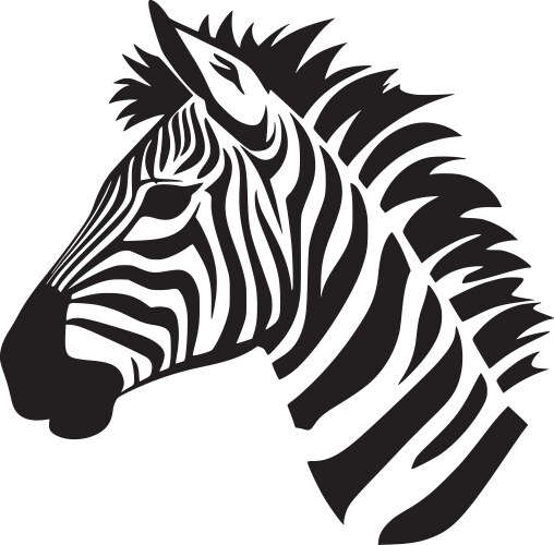 Zebra - high quality logo ideal for t-shirt Vector Image
