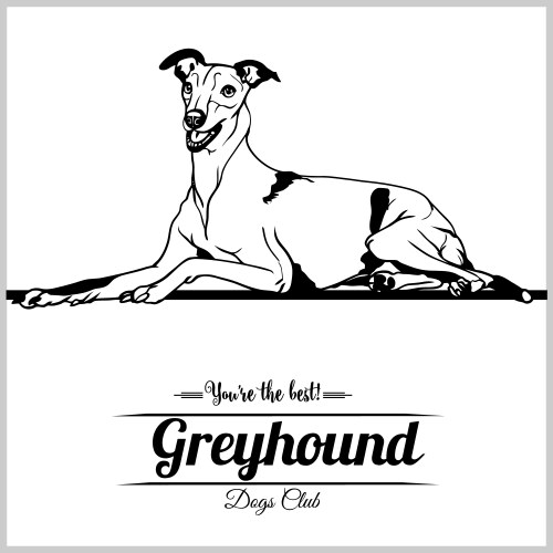 Greyhound Vector Images (over 1,700)