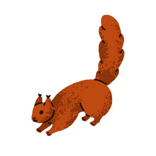 Tail Vector Images (over 210,000)
