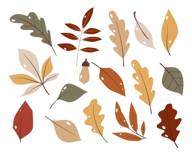 Hand Leaf Vector Images (over 380,000)