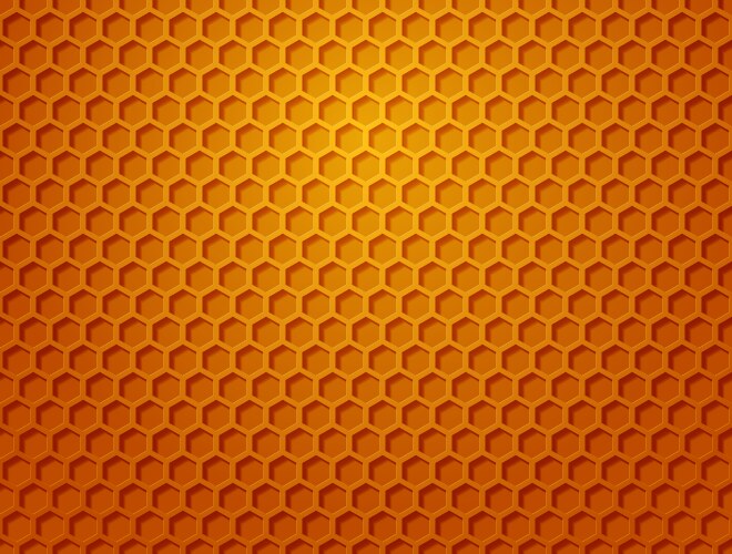 Honeycomb pattern Royalty Free Vector Image - VectorStock