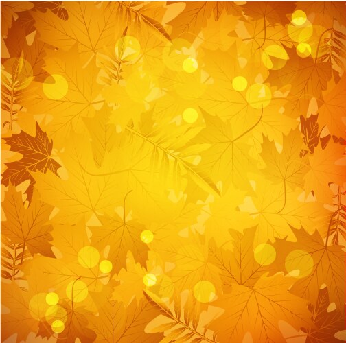 Autumn fall background with bright golden maple Vector Image