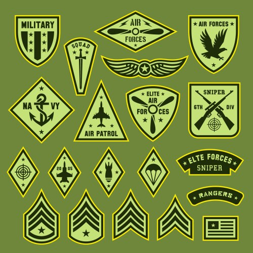 Army air forces airborne units badges and chevron Vector Image