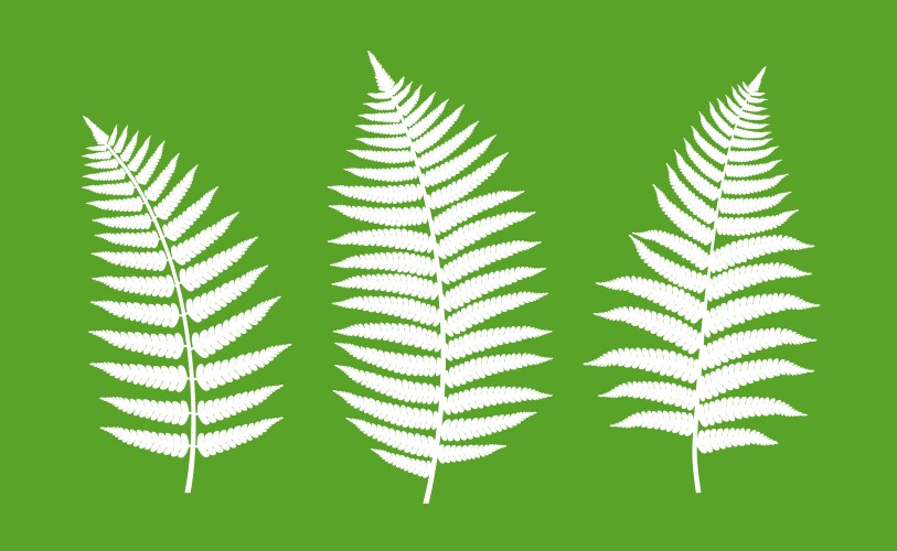 Fern Logo Vector Images (over 1,300)