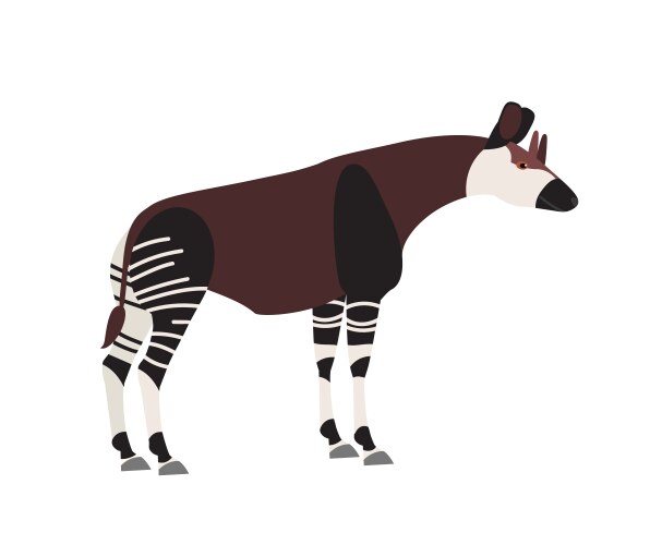 Okapi Vector Images (over 250)