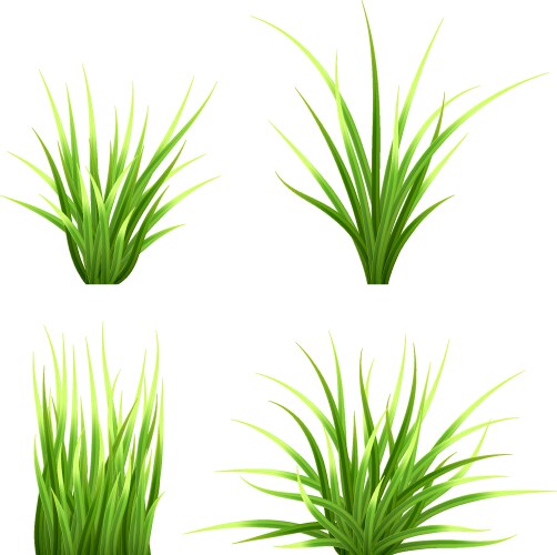 Grass Vector Images (over 370,000)