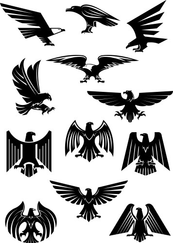 Hawk Logos Vector Images (over 25,000)