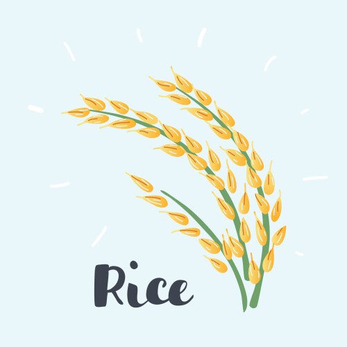 Rice plant cartoon Royalty Free Vector Image - VectorStock
