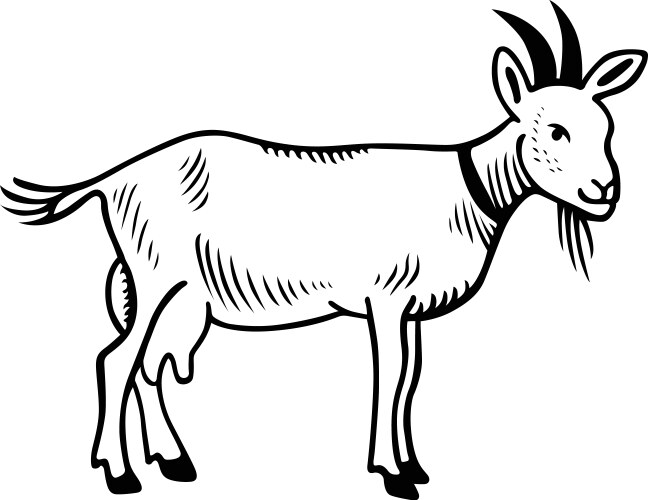 Animated Goat Vector Images (over 28,000)