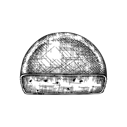Cheese hand drawn food design element chee Vector Image