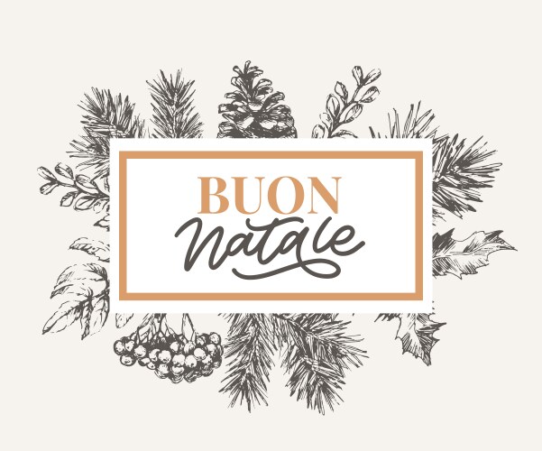 Christmasbuon natale greeting cardhandwriting Vector Image