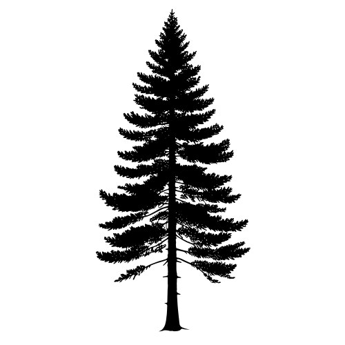 Leafless tree silhouette Royalty Free Vector Image