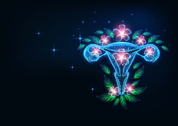 Female Reproductive System Vector Images (over 4,600)