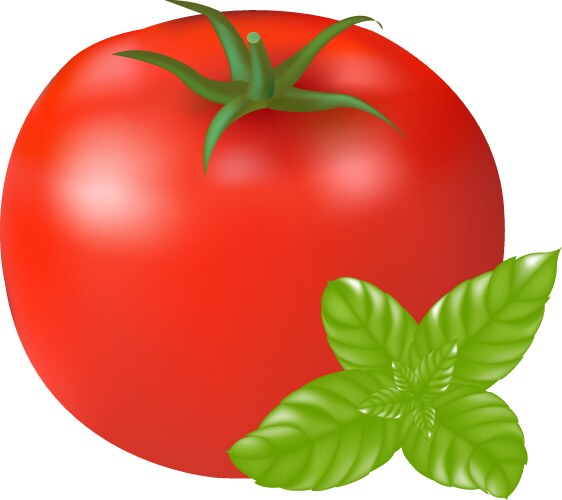 Tomato Vector Images (over 130,000)