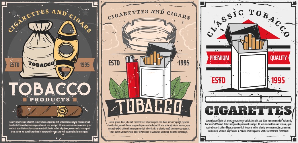 Premium quality tobacco cigars and cigarettes Vector Image