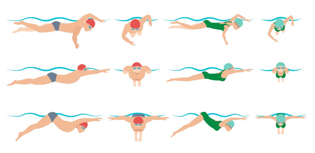 Swimmers in Action – Sport & Recreation Vector Image