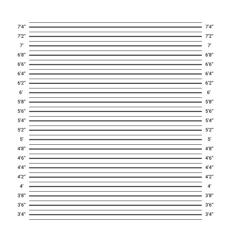 Lineup backdrop identification frame police Vector Image