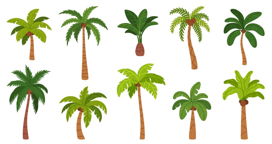 Cartoon Palm Trees Vector Images (over 27,000)