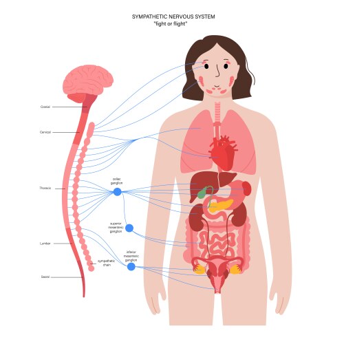 System Vector Images (over 810,000)