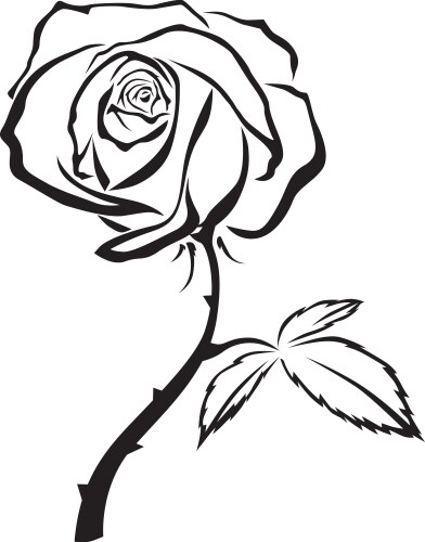 Flower Plant Rose Vector Images (over 110,000)